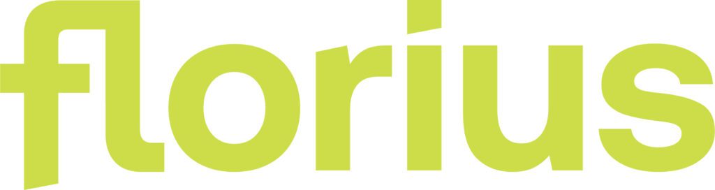 Inkomensbepaling loondienst hdn - Diensten