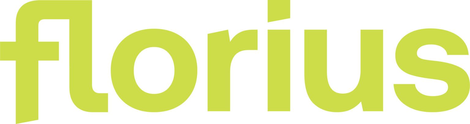 Inkomensbepaling loondienst hdn - Diensten