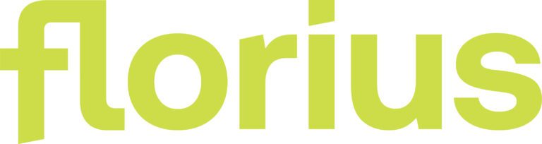 Inkomensbepaling loondienst hdn - Diensten